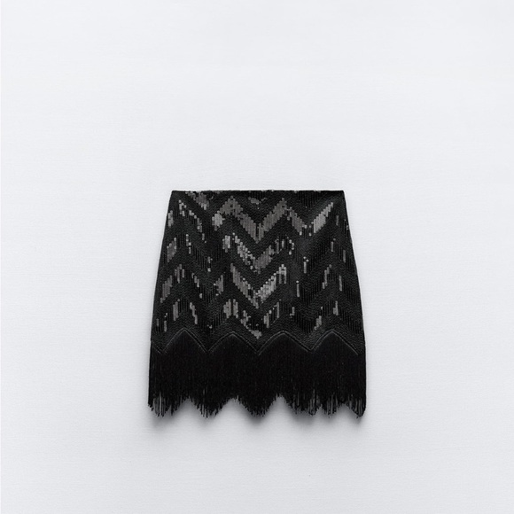Zara | Skirts | Zara Sequin Fringed Mini Skirt | Poshmark